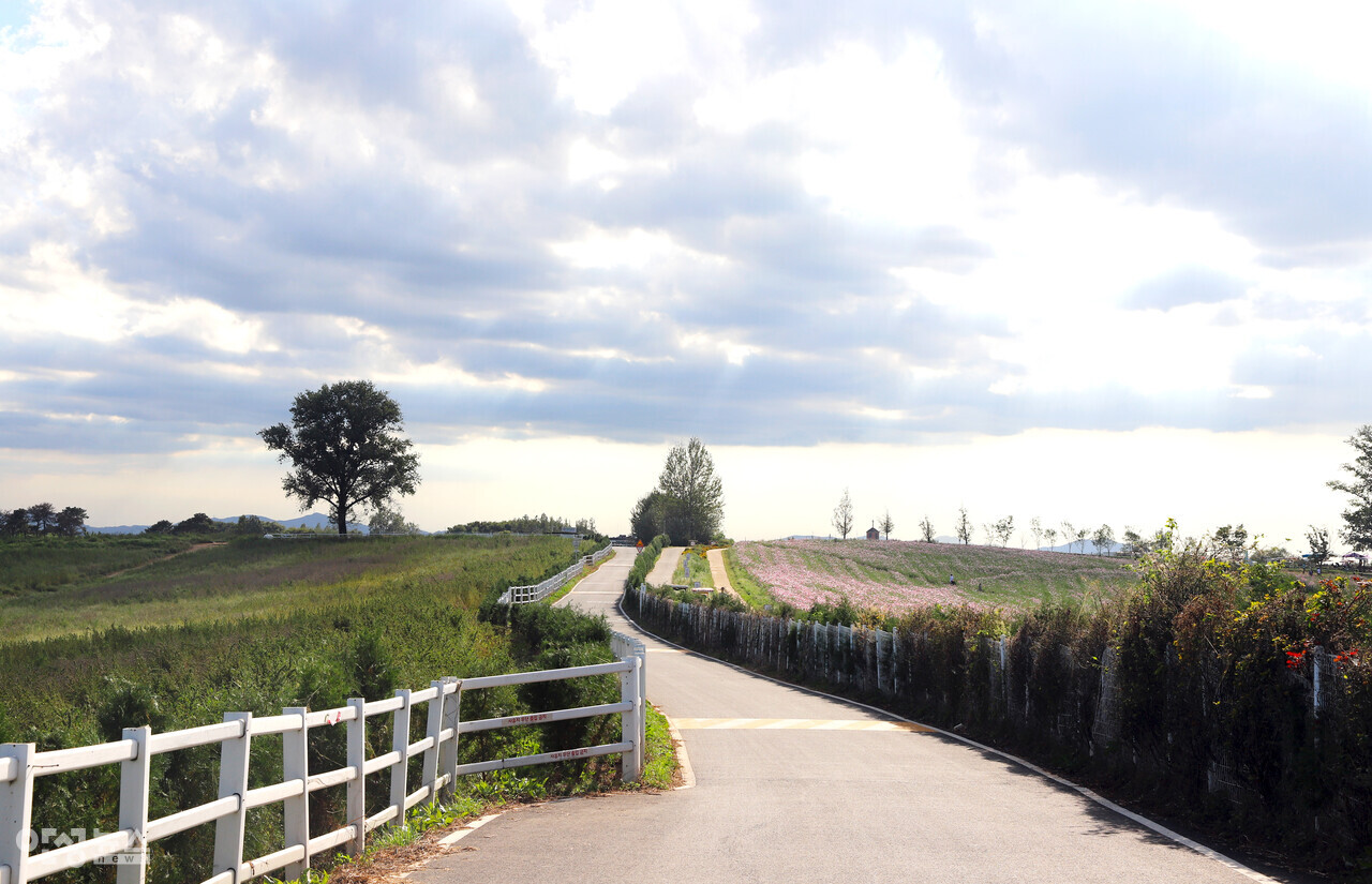 나무로 태어난 '바우덕이'